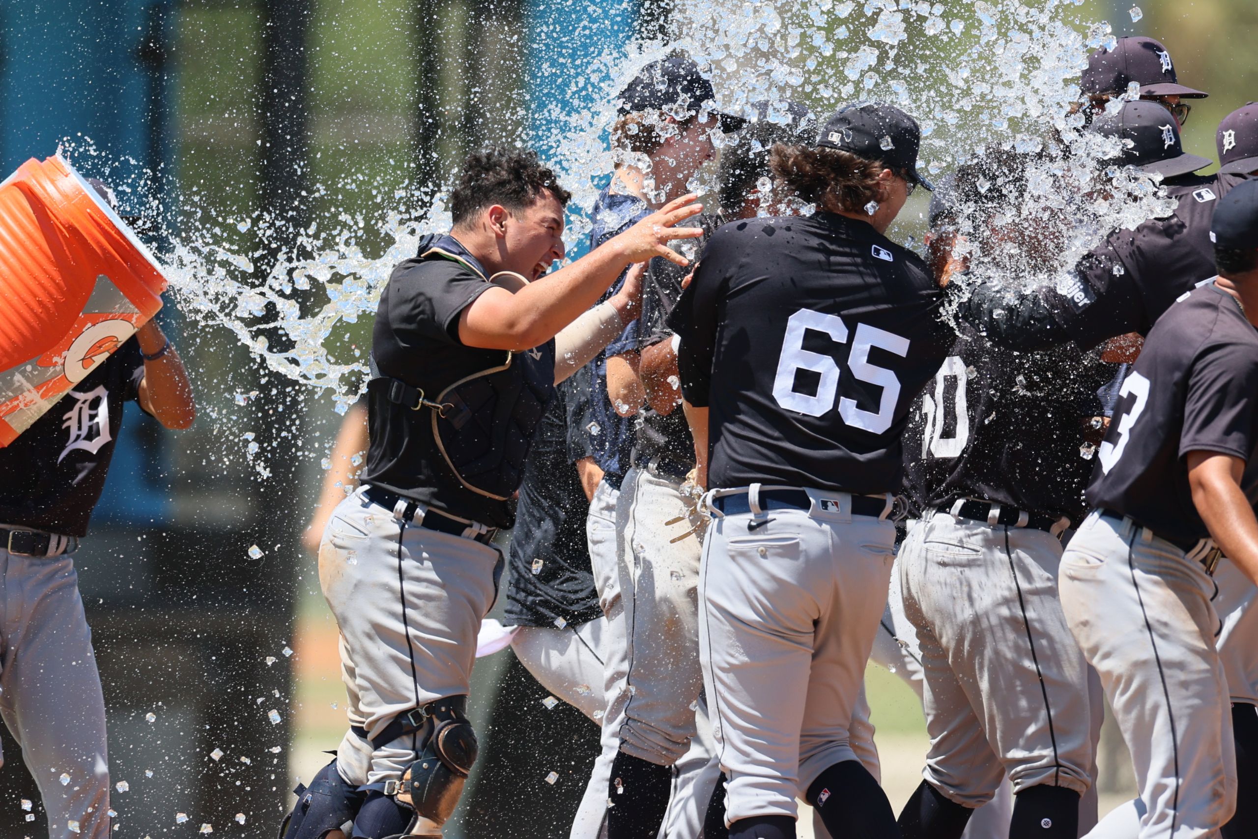 2024 Minor League Organization Standings: Tigers Finish No. 1